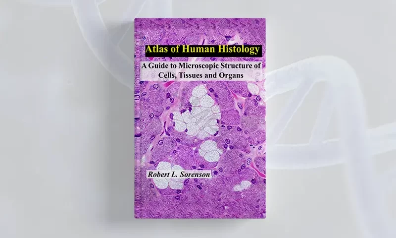 Atlas of Human Histology PDF: Dr. Robert L. Sorenson - Download